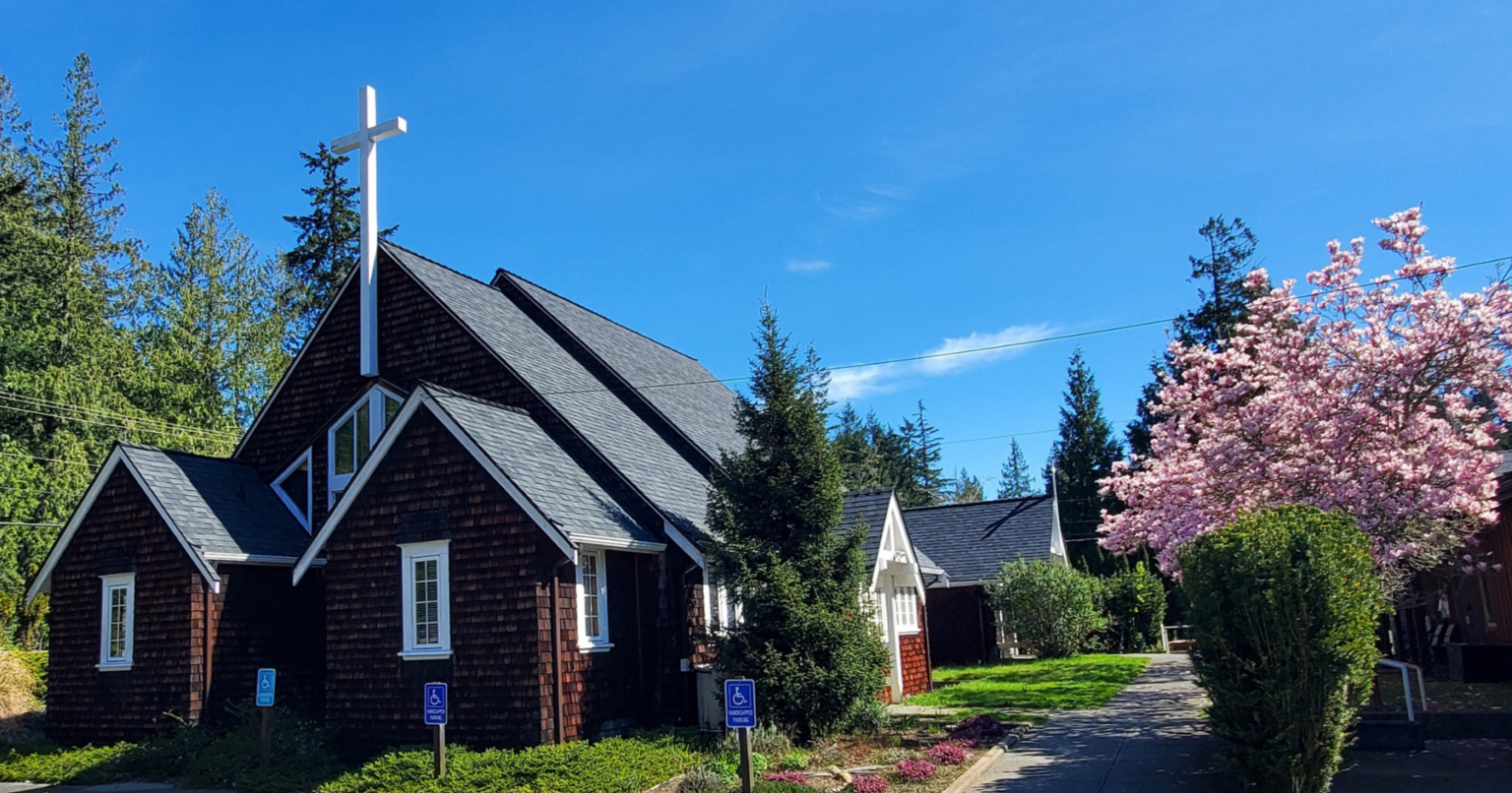 Signs of new life in the diocese - Faith Tides